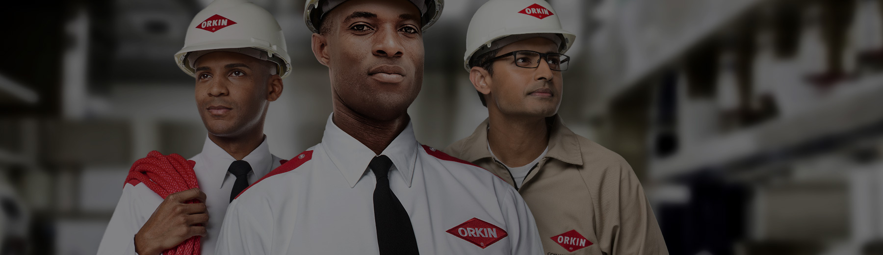 Homepage - Orkin Myanmar