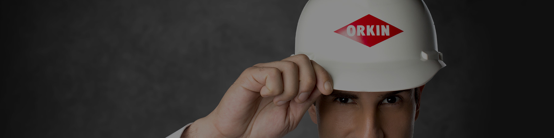 Why Orkin - Orkin Myanmar